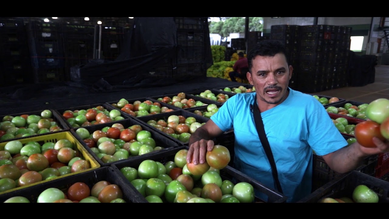 Tomates BS ISC0114 Santa Clara - YouTube