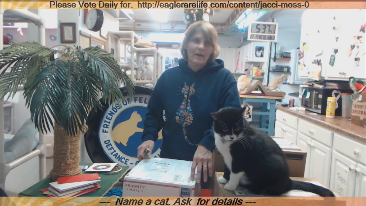 FFRC Boxes 12 19 2016 and The 100 Stories Book - YouTube