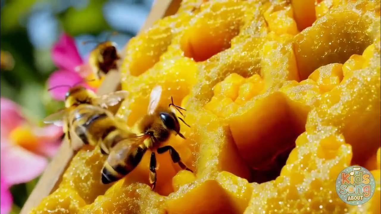 Kids song about Bees - YouTube