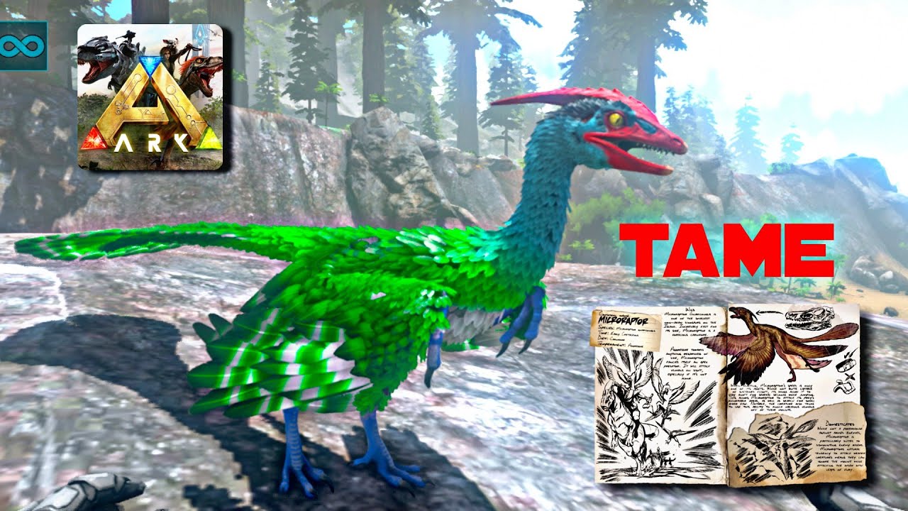 How To Tame Microraptor Ark Ultimate Mobile Edition - YouTube