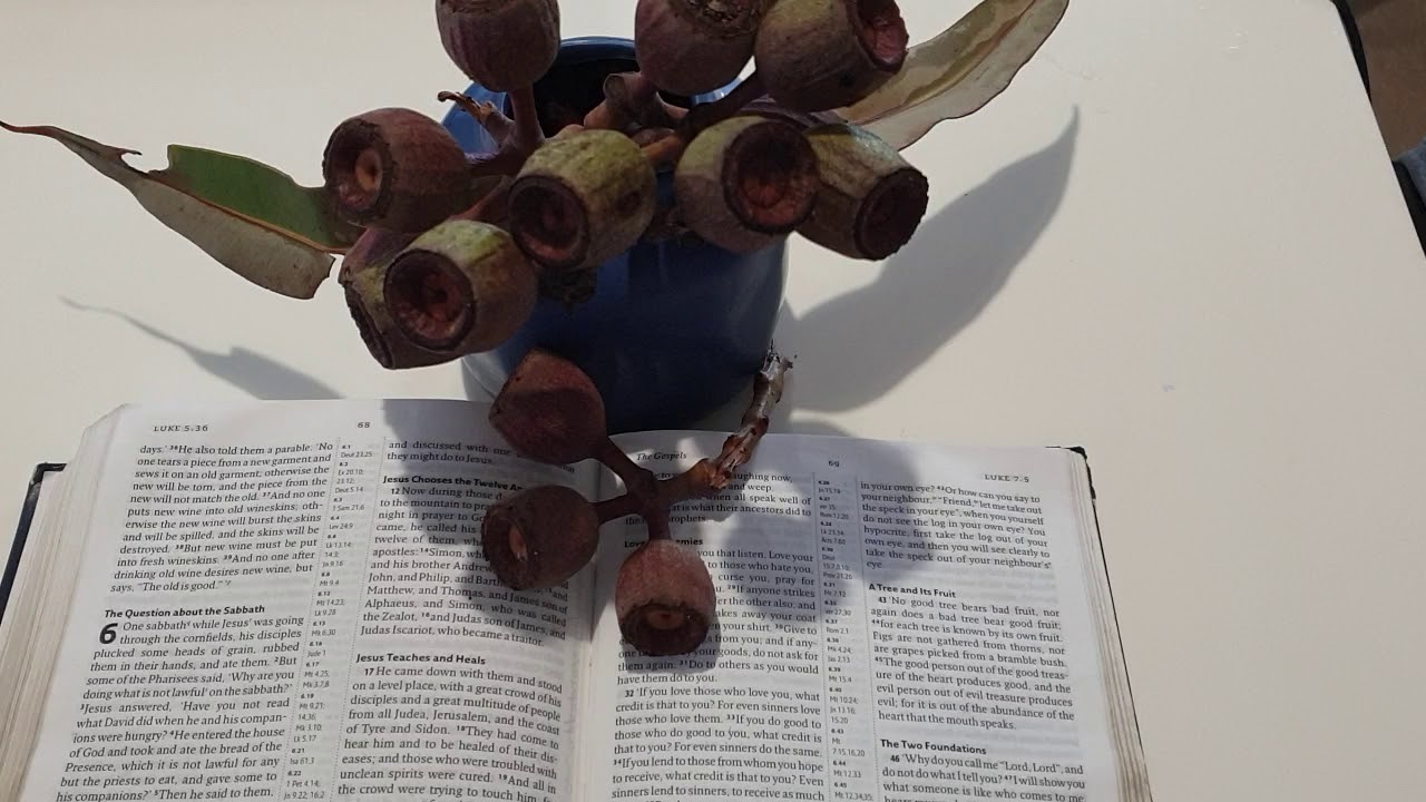 Luke 6 12 19 YouTube luke-6-12-19-youtube