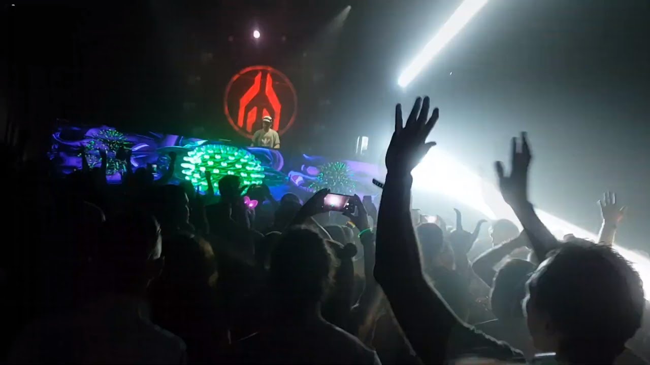 Mayday Poland "20 Years" 2019 | FLASH with Friends of Mayday - YouTube