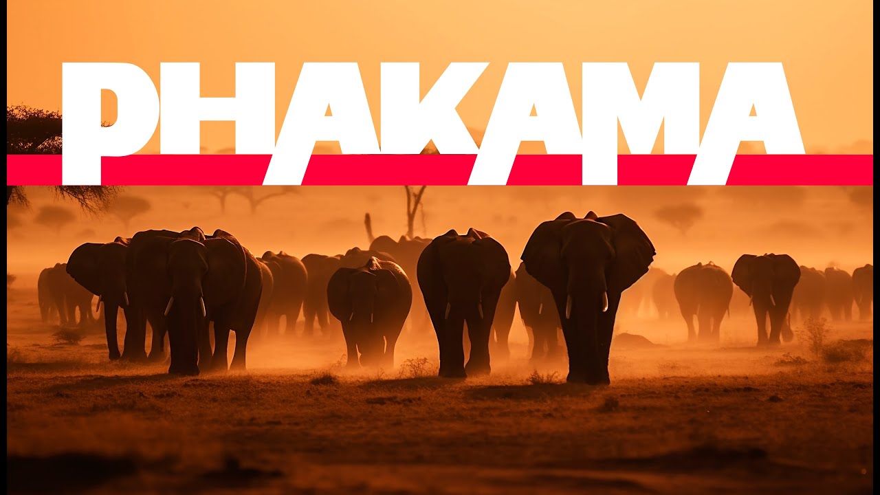 African - Phakama #2024 #afrobeat #afrohouse #music #AfricanMusic # ...