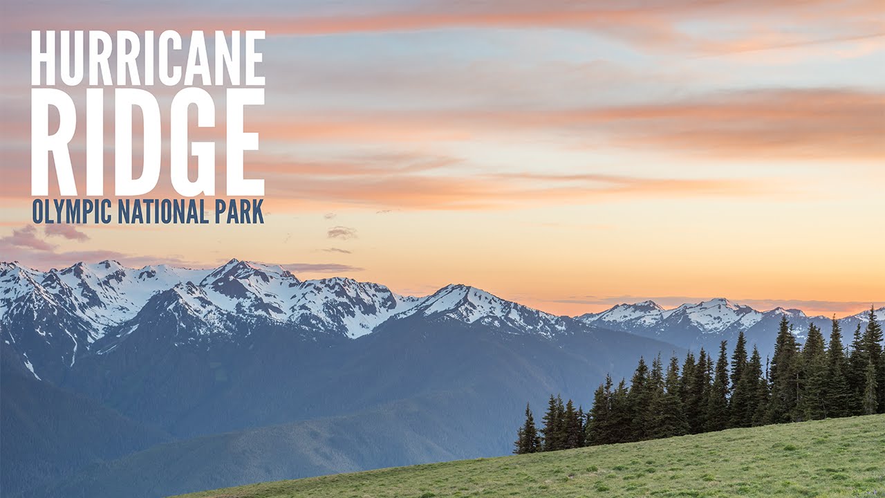 Hurricane Ridge - Olympic National Park - Travel Photography - YouTube