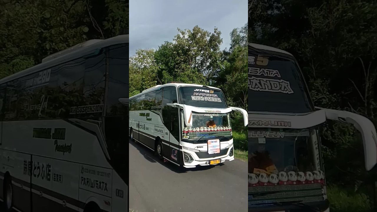 Nada Baru Bus KIDS PANDA🐼 GUYS ASIKK BIKIN CANDU #busmania #viral # ...