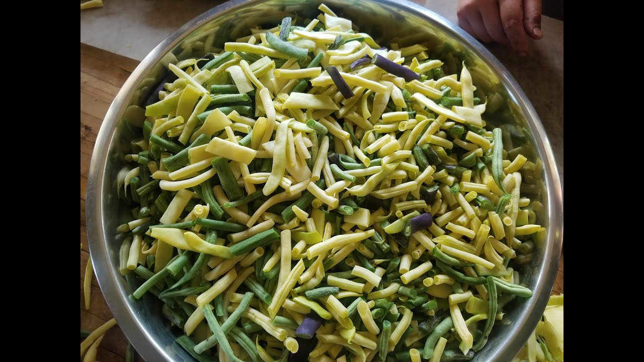 Preserving Beans | Growing and Storing High Quality Beans - YouTube