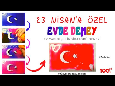 BAYRAK DENEYİ I Mutfak Kimyası  (Evde Doğal pH Belirteci Deneyi) 🎉😍 🇹🇷