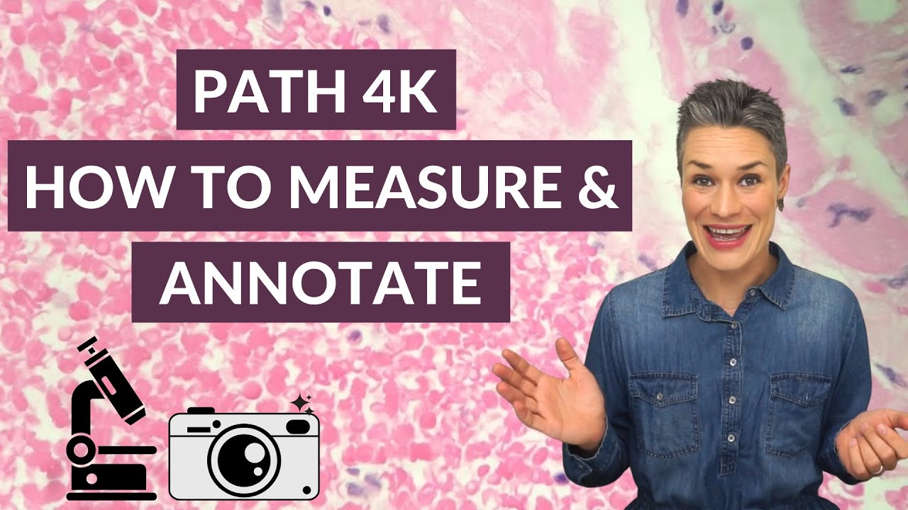How to photograph and measure under the microscope with the Path4K ...