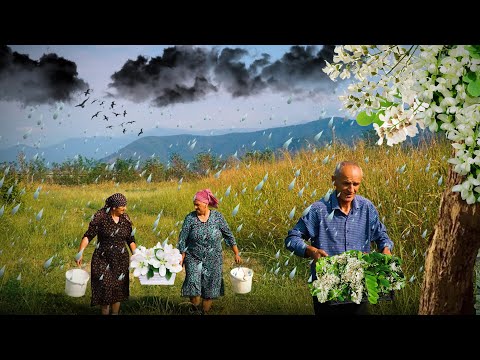 Azerbaycan Köyünde YAĞMURLU GÜN - Orman Çiçeklerini Toplamak ve Lezzetli Tatlı Yapmak