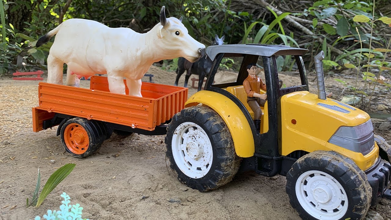 trator transporte vaca fazendinha 🐄🚜🐄🚜 tractor transport, cow, farm ...