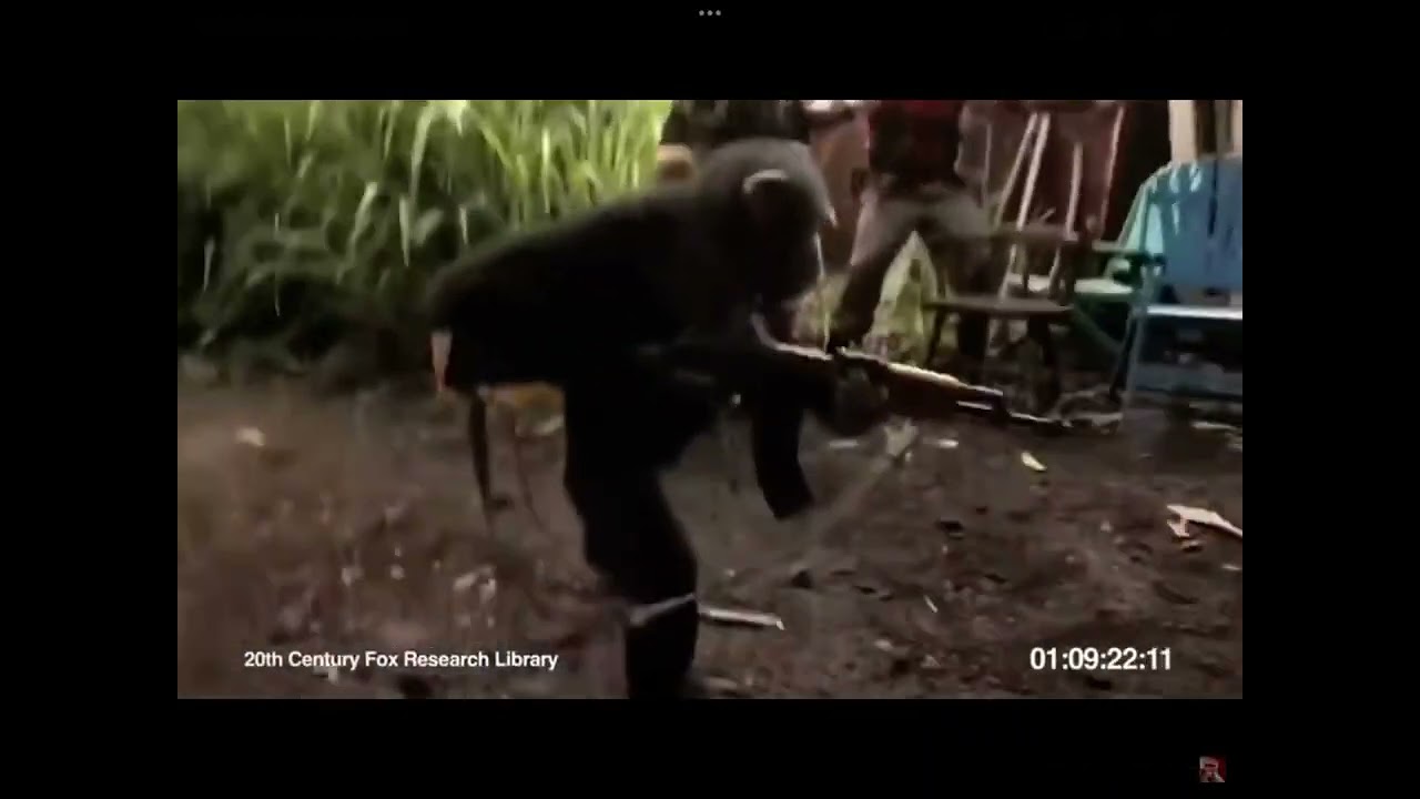 Pbbv in real life: - YouTube