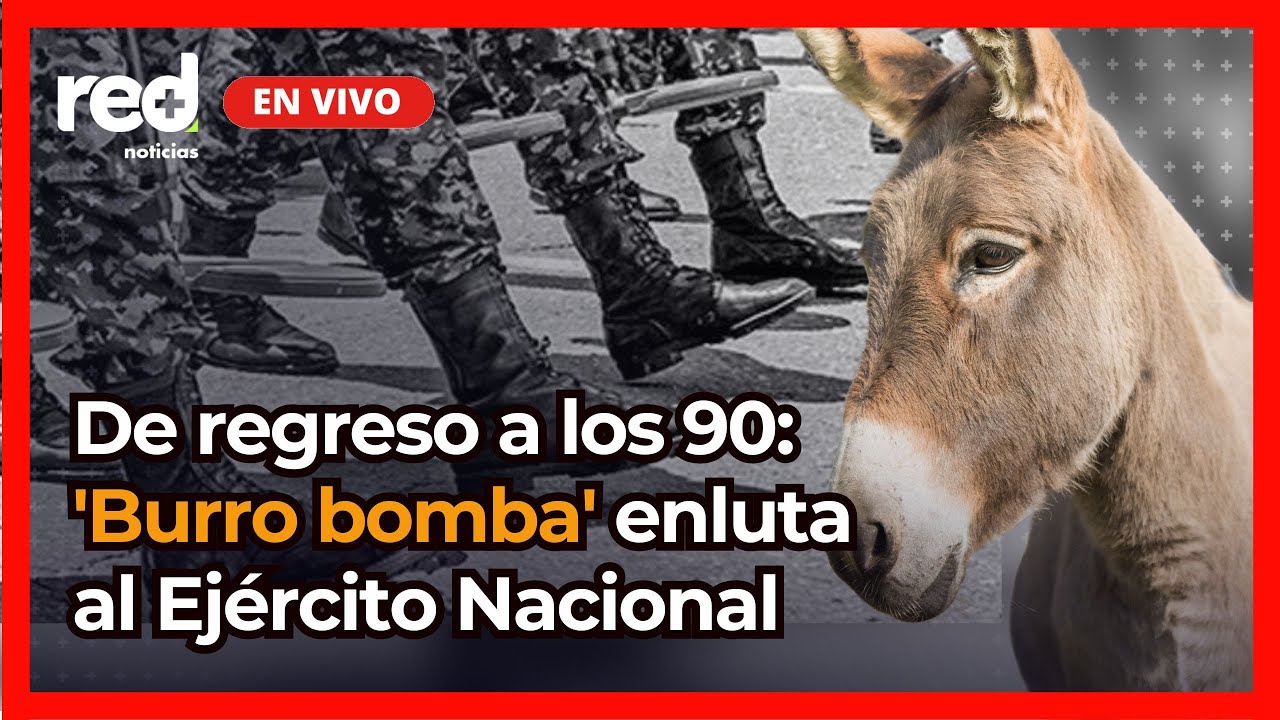 Indignación nacional: Usaron un burro para ultimar soldados del ...