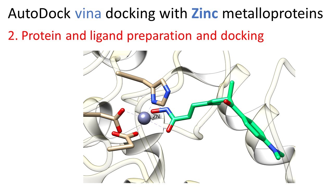2. Protein and ligand preparation and docking | AutoDock vina docking ...