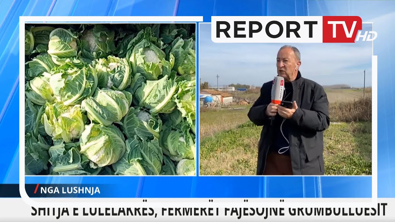 Shitja e lulelakrës ,fermerët fajësojnë grumbulluesit - YouTube