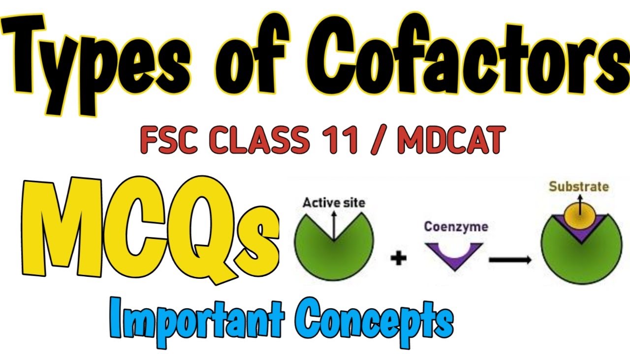 COFACTORS and their Types | MCQS BIOLOGY FSC CLASS 11 and MDCAT ...