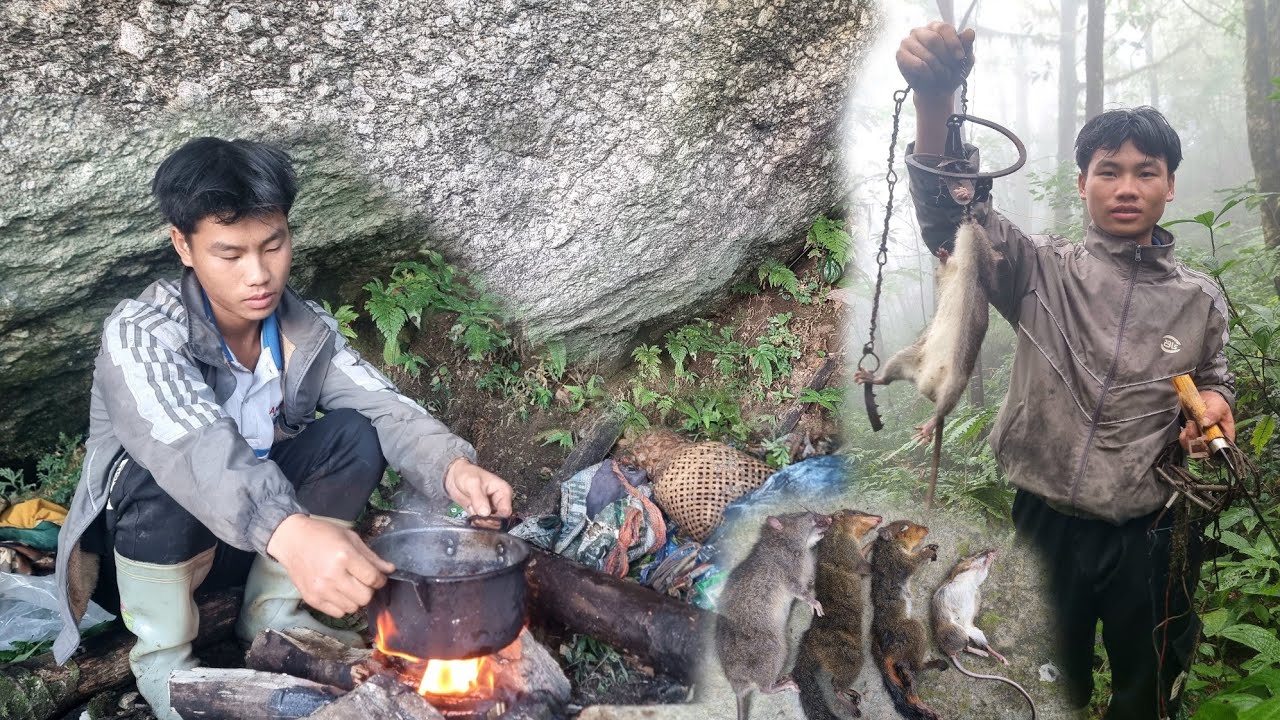 Wilderness Survival – Cave Overnight & Jungle Trap Checking - YouTube