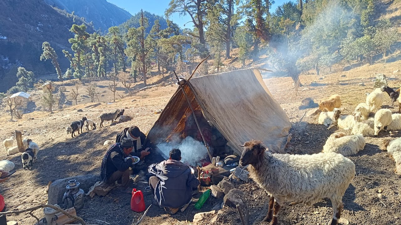 Mountain Sheep Shepherd Life in Winter | Shepherd Food Cooking & Eating ...