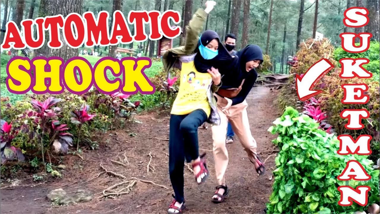 PRANK KOCAK DI HUTAN PINUS LIMPAKUWUS | BUSHMAN PRANK - YouTube