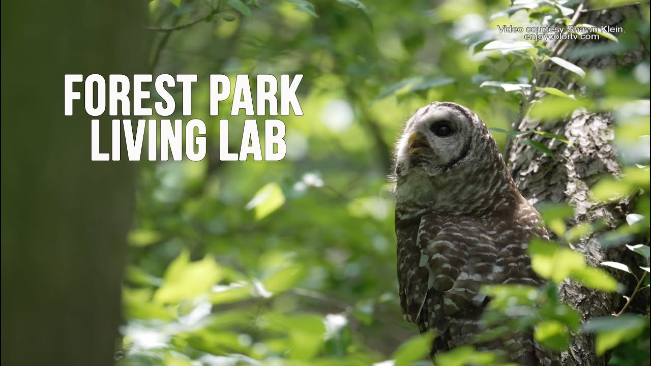 Forest Park Living Lab - YouTube