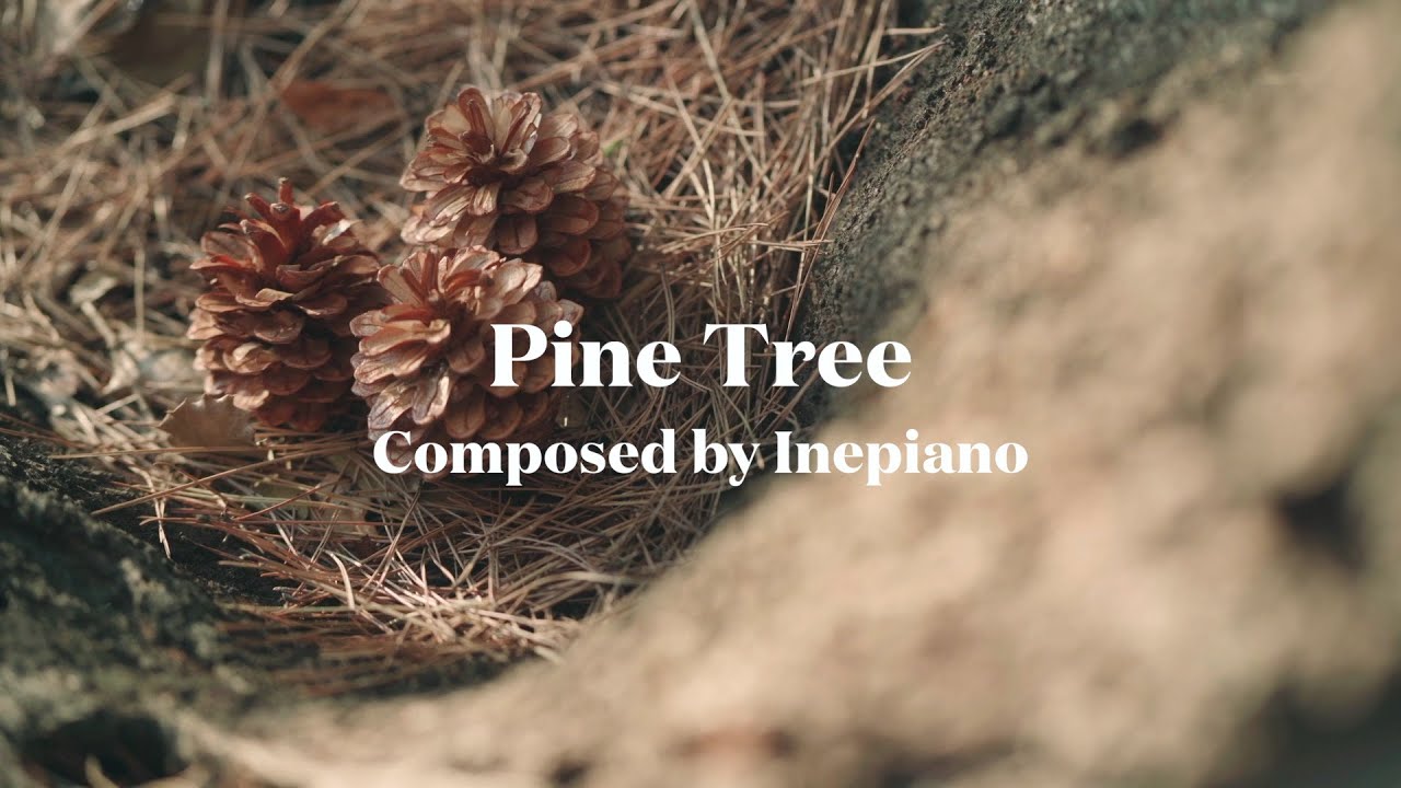 Pine Tree Composed by Inepiano I 편안한 피아노 음악 I 감미로운 멜로디 I Relaxing Piano ...
