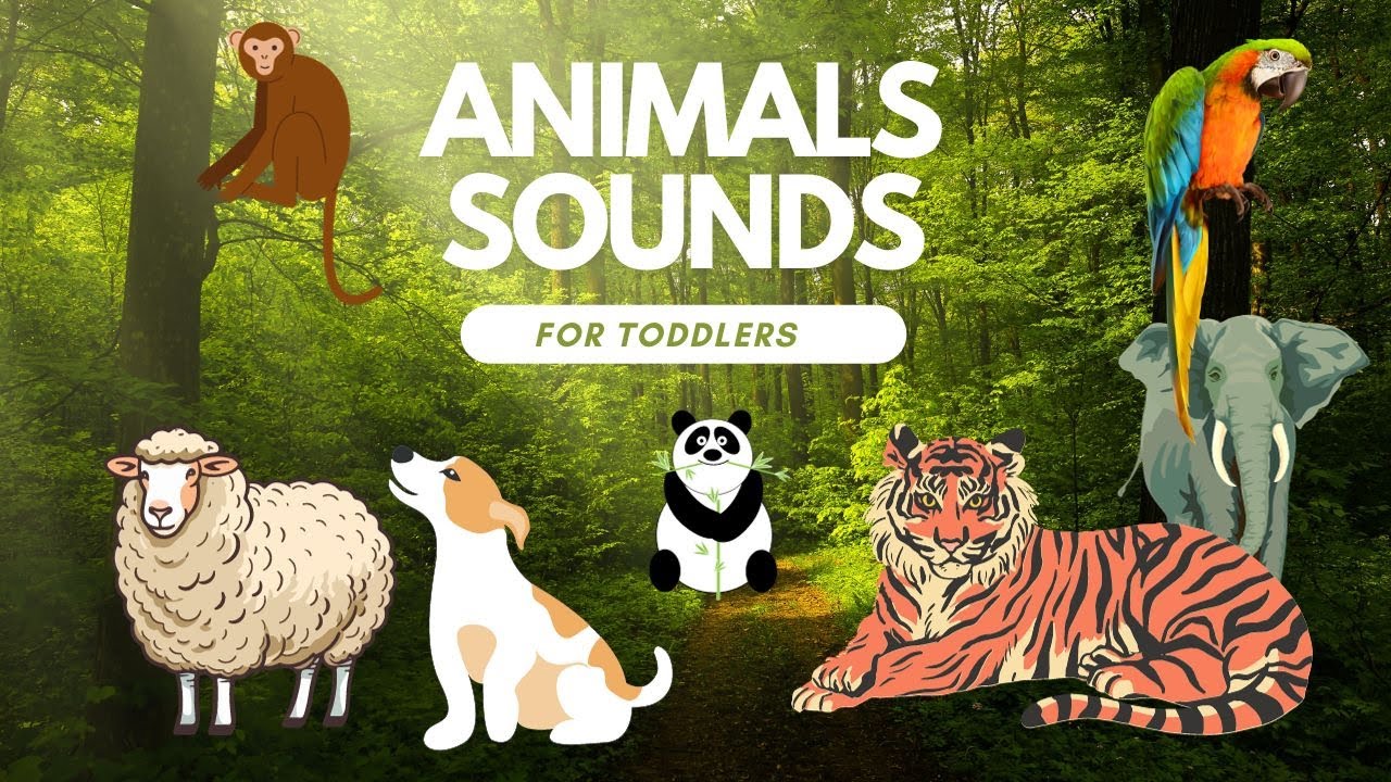 Learn Animal Sounds For Toddlers | Animals Names and Sounds For Kids # ...