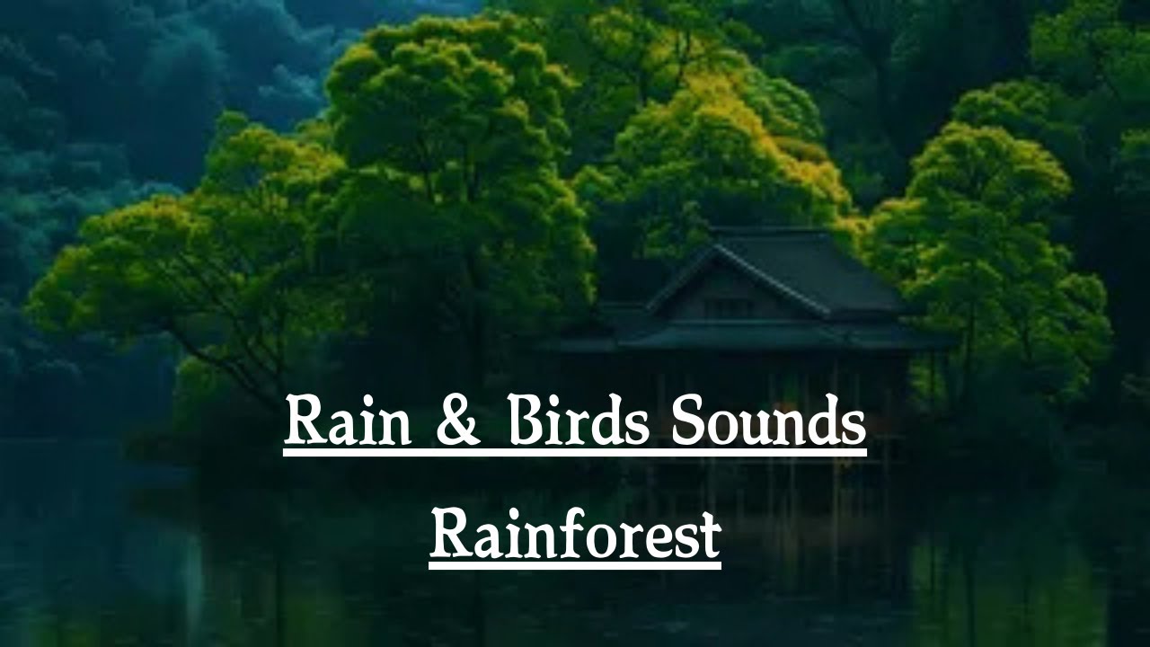 2 Hours | Rain & Birds Sounds | Rainforest Sounds for Sleeping or ...