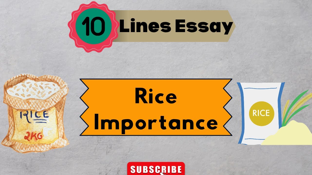 Rice Importance Essay in English 10 Lines Write Easy - YouTube