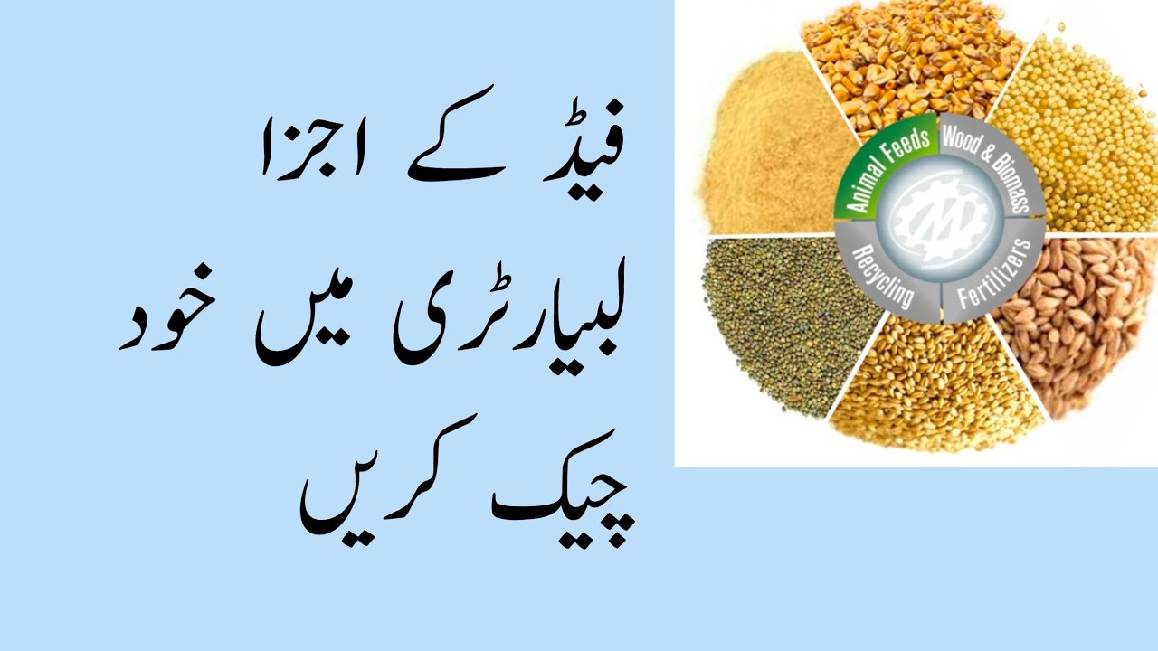 How to Check Food Ingredients in Lab - Food Test - YouTube