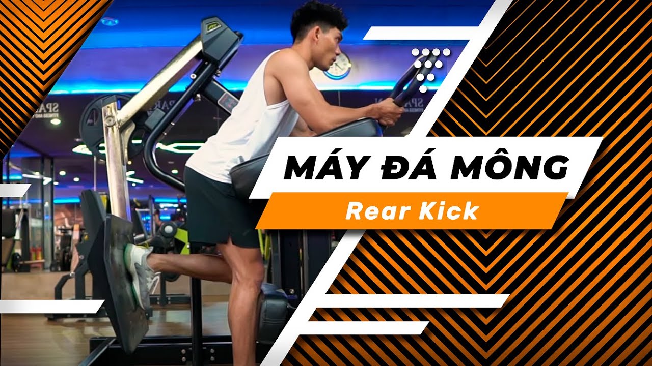 Tập Mông Cong Vút Với Máy Hammer Strength Rear Kick | Spartan Fitness ...
