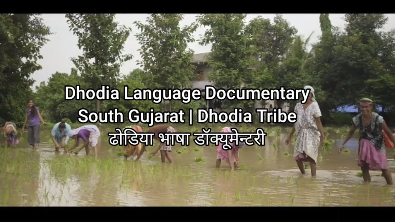 Dhodia Language Documentary | South Gujarat | Dhodia Tribe | ढोडिया ...