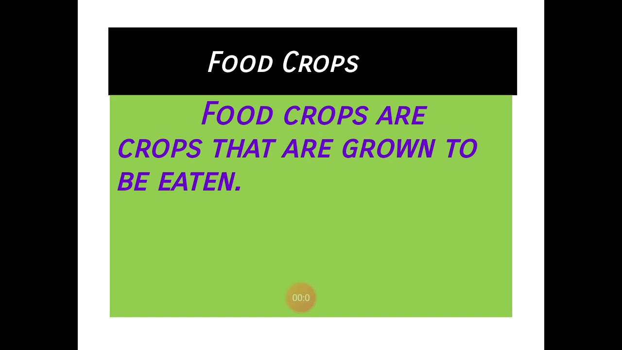 Food crops - YouTube