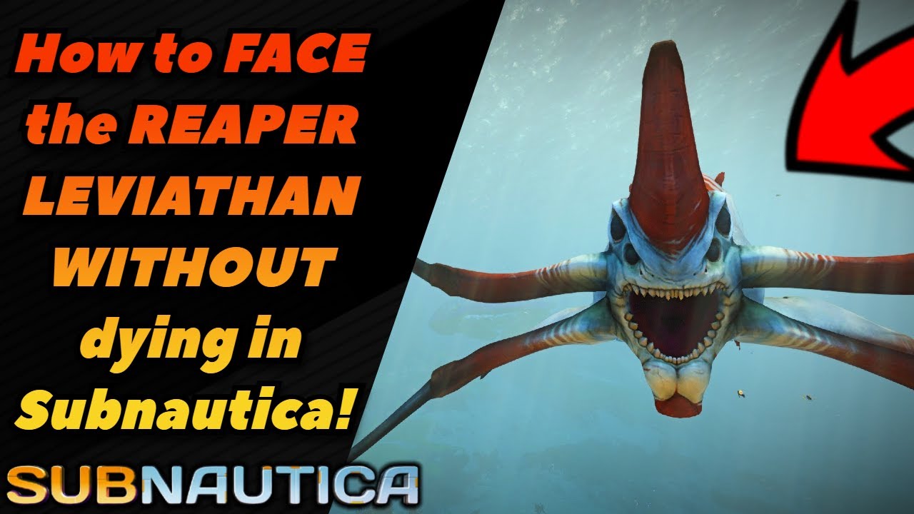 5 TIPS to remember when DEALING with the REAPER LEVIATHAN - YouTube