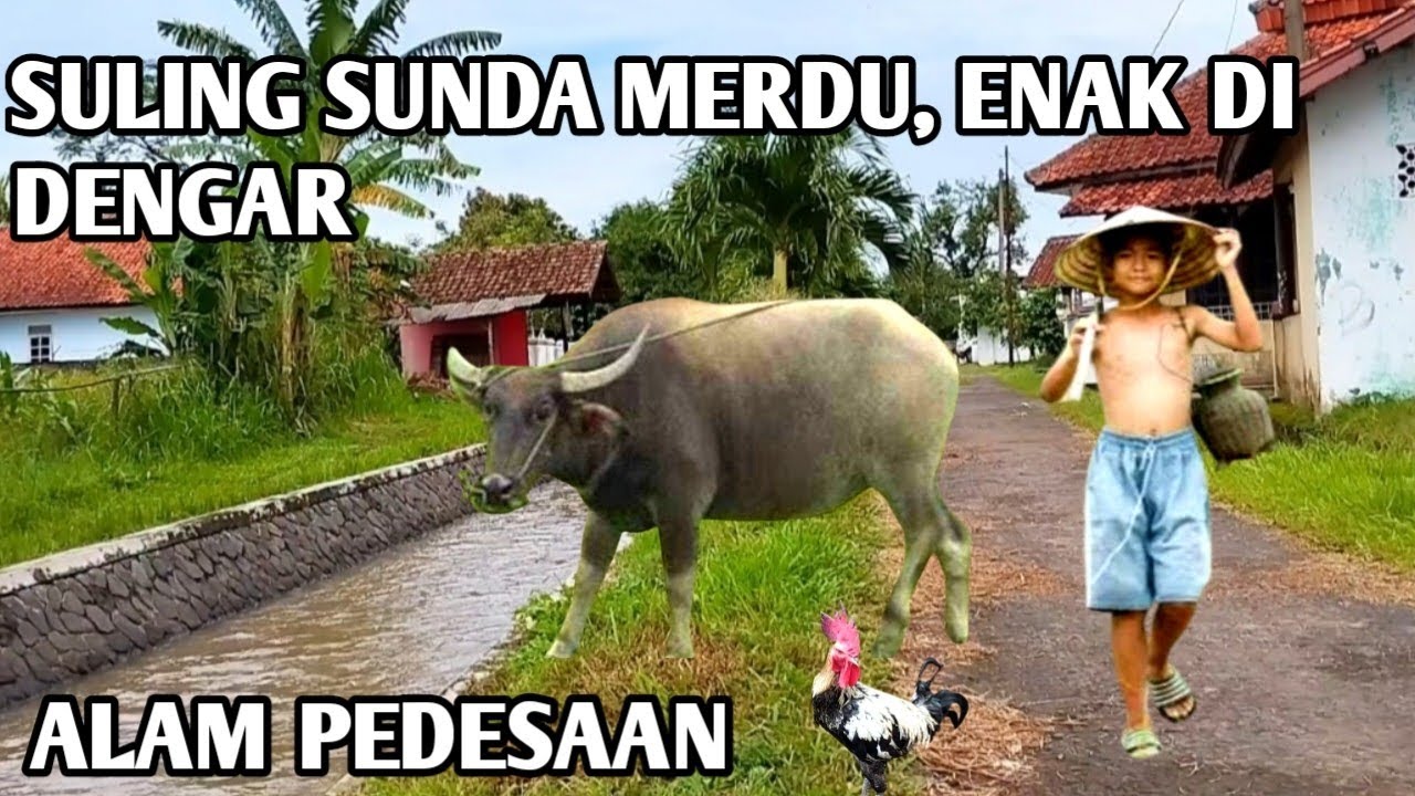 Suling sunda merdu, enak didengar, alam pedesaan - YouTube