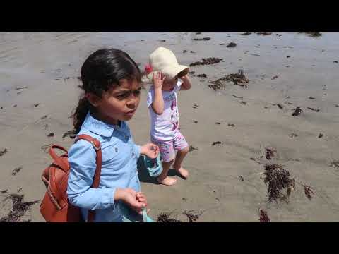 Spring Break Beach day |The Cazares Fam - YouTube