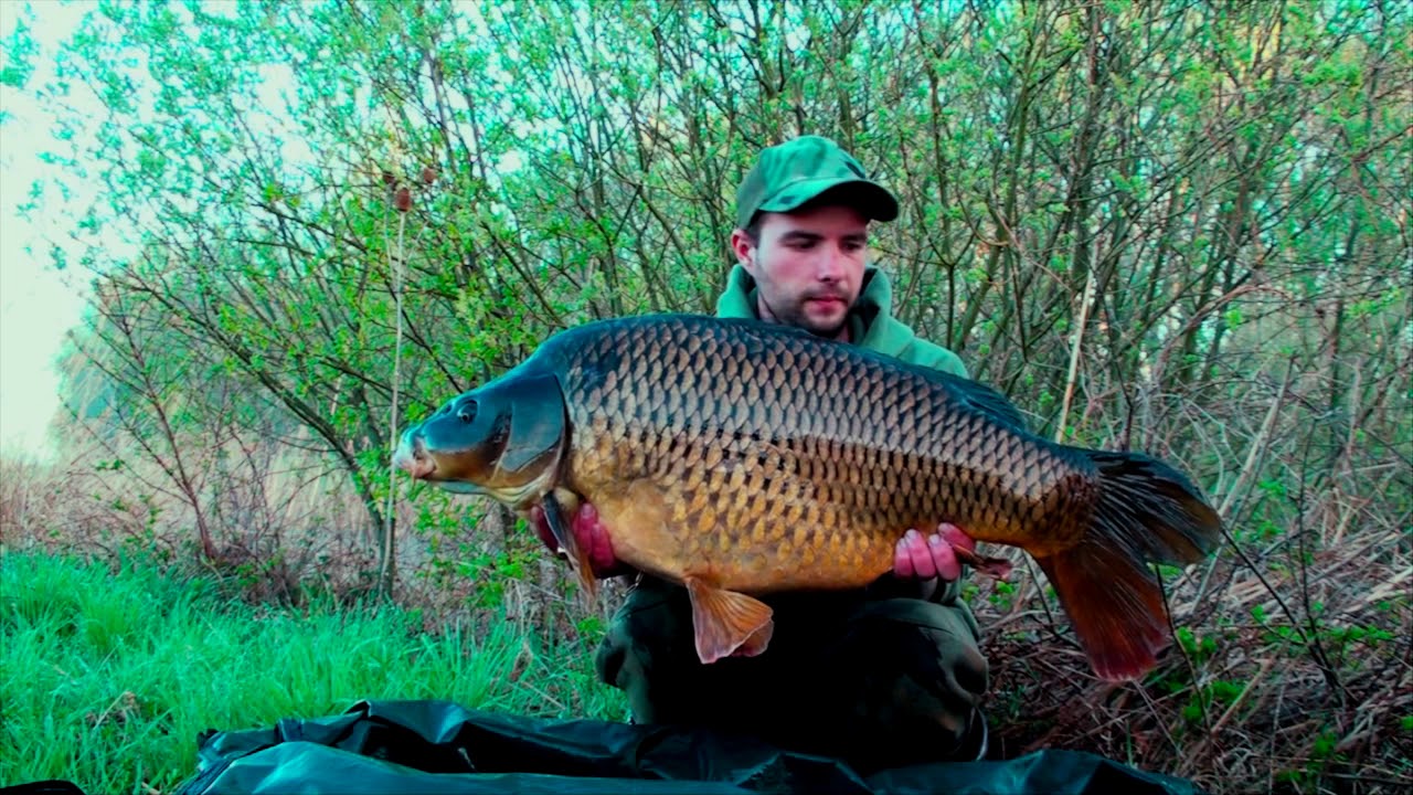 JET FISH Spring session 2018 - YouTube