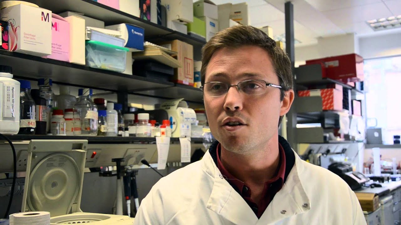 Q & A with DR David MacIntyre - YouTube