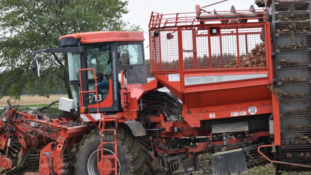 Sugar Beet Harvest 2021 - HOLMER Terra Dos T3 - CASE IH MX285 & 380 CVT ...
