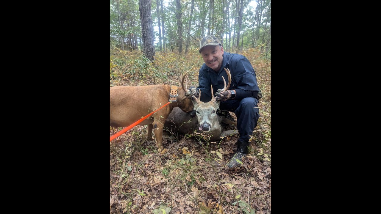 A Quick Buck - YouTube