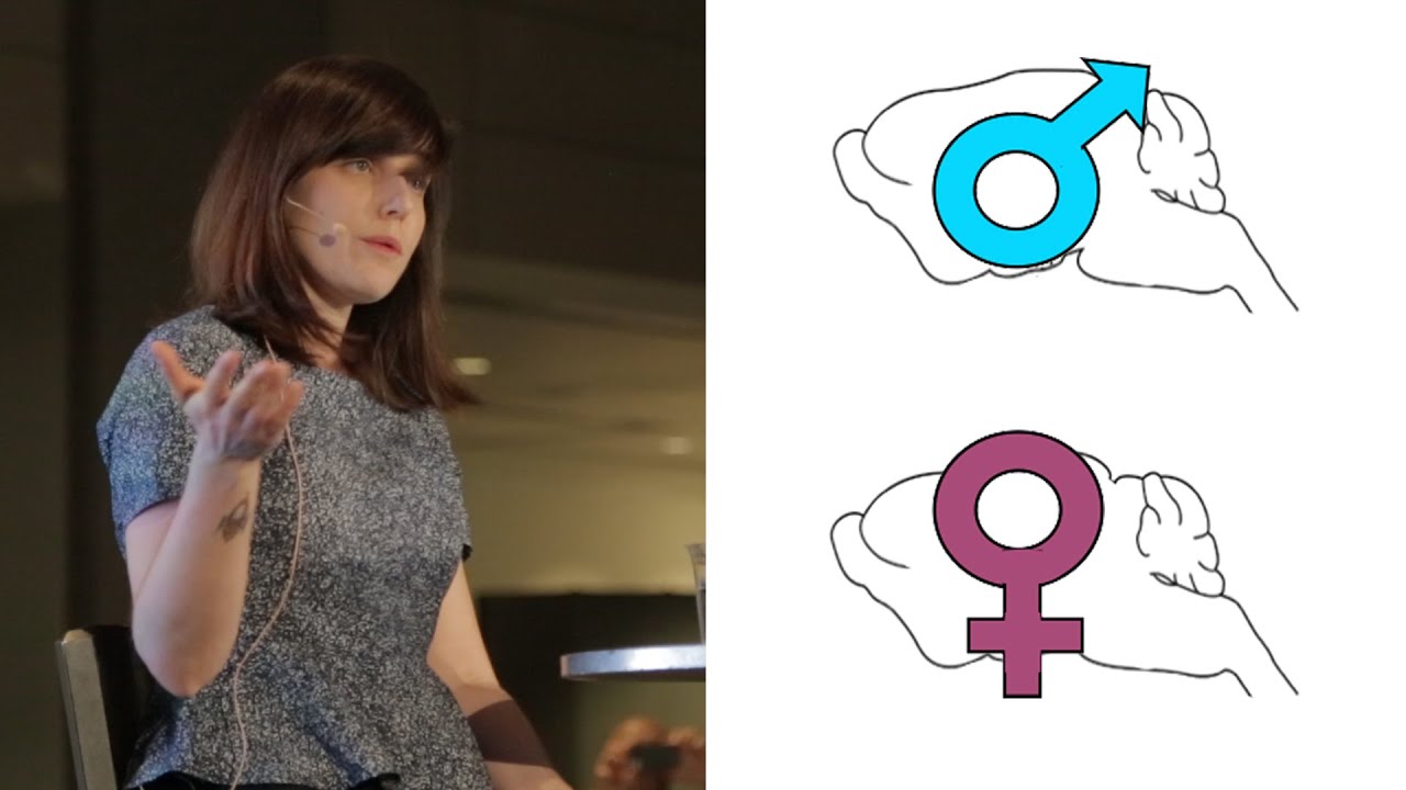 How the Brain Shows its Feminine Side - AMNH SciCafe - YouTube