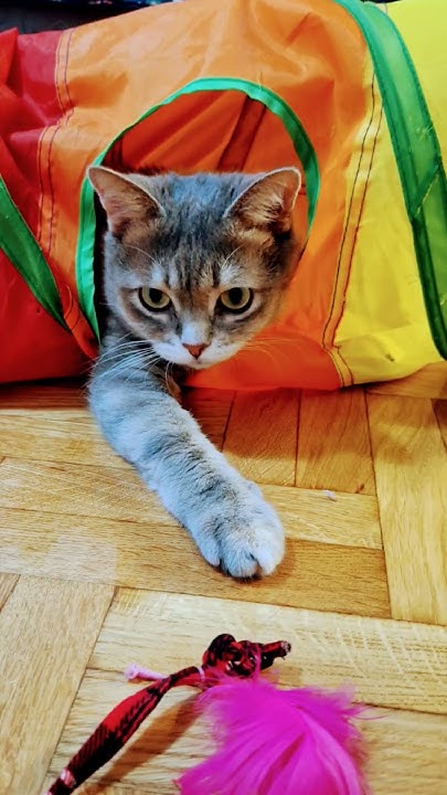 китчен - YouTube