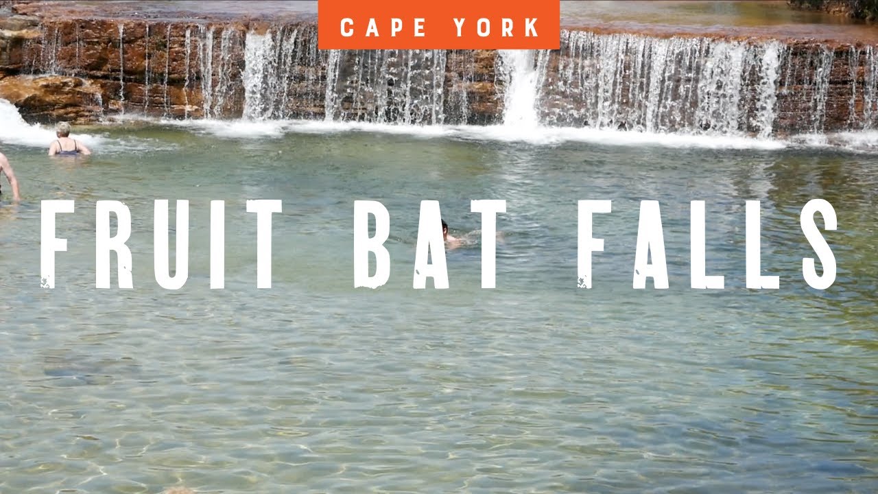 VLOG #17 - Fruit Bat Falls, CAPE YORK 2019 - YouTube