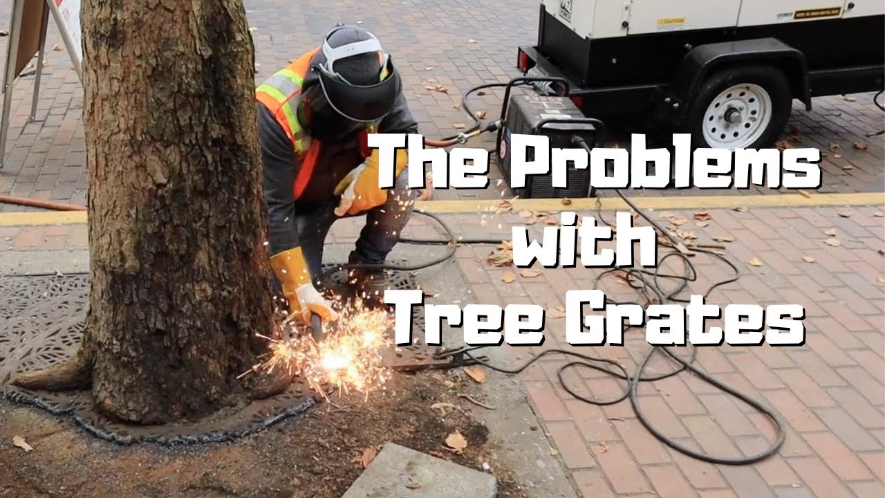 The Problems with Tree Grates - Pioneer Square, Seattle, Washington ...