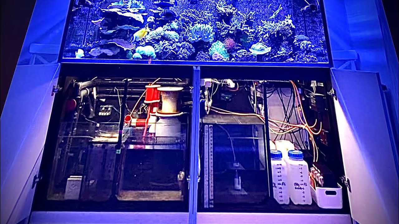 Tank update | Reorganized Life-support Equipment - YouTube