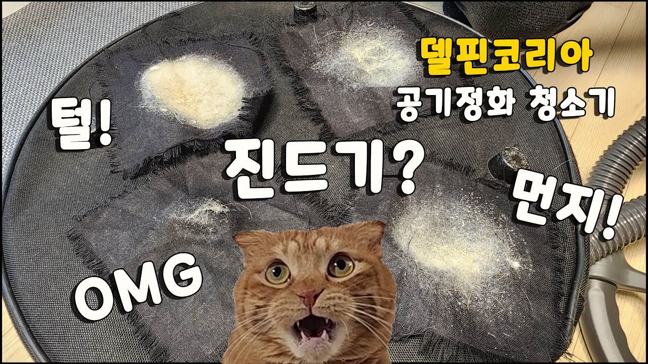 반려동물털 걱정끝! 진드기제거하는 델핀코리아 청소기 The water filter air purifier delphin 토토네 ...