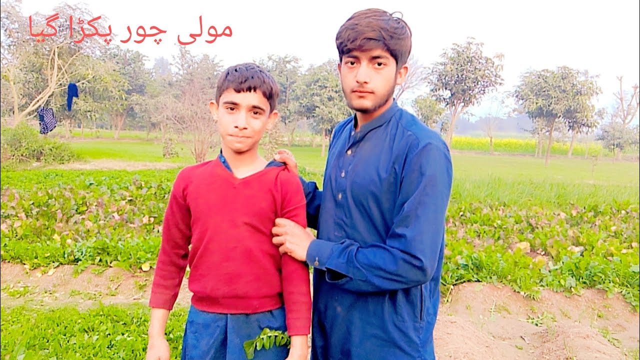 Punjabi Pendu Vlogger New Video - YouTube