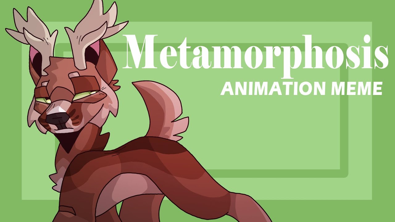 Metamorphosis // Animaiton Meme // Tweening/Editing Test - Ft. My OC ...