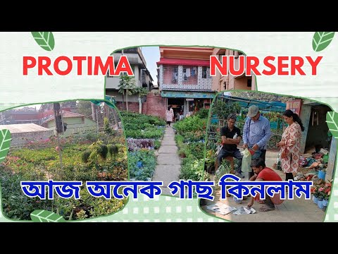 আজ অনেক গাছ কিনলাম | PROTIMA NURSERY | DAILY VLOG - YouTube