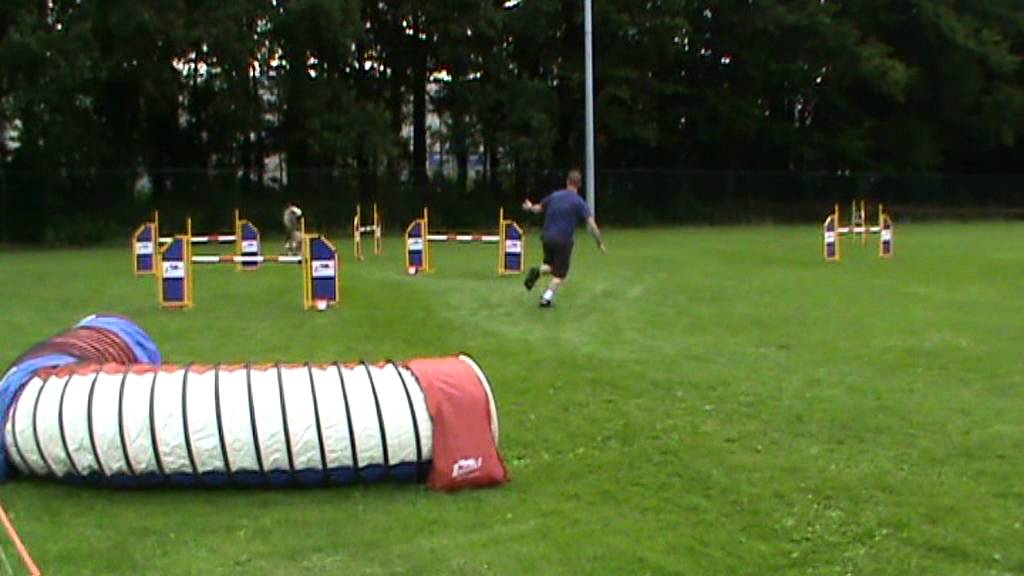11-08-12 Gooi en Eemland Rene en Baco JP.MPG - YouTube