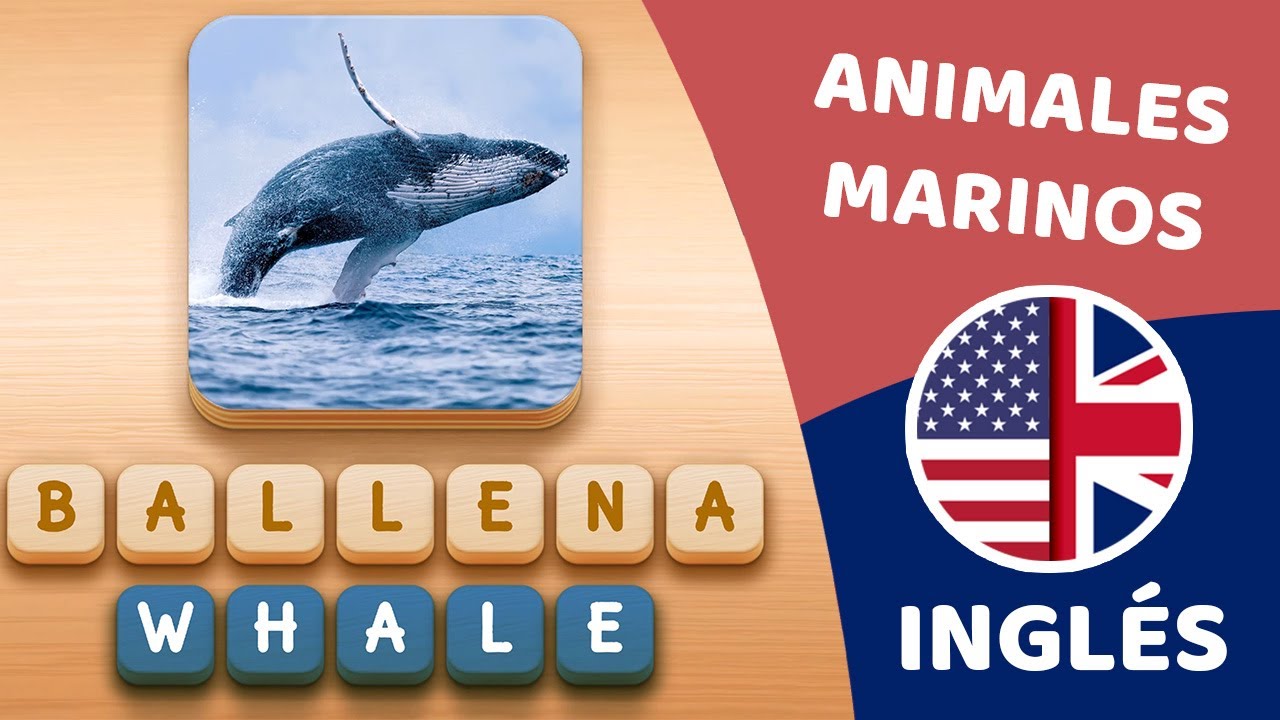 Animales MARINOS en INGLES para NIÑOS- Eduteco Learning - YouTube