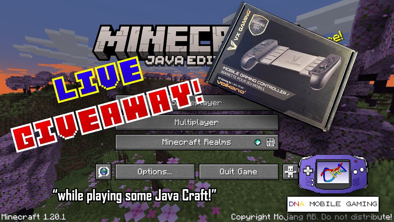 LIVE GIVEAWAY TIME! - "join in while I play some Minecraft Java" - YouTube